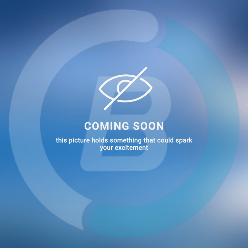 Complete Drum 250x50mm - Burquip | Trailer Components & Parts